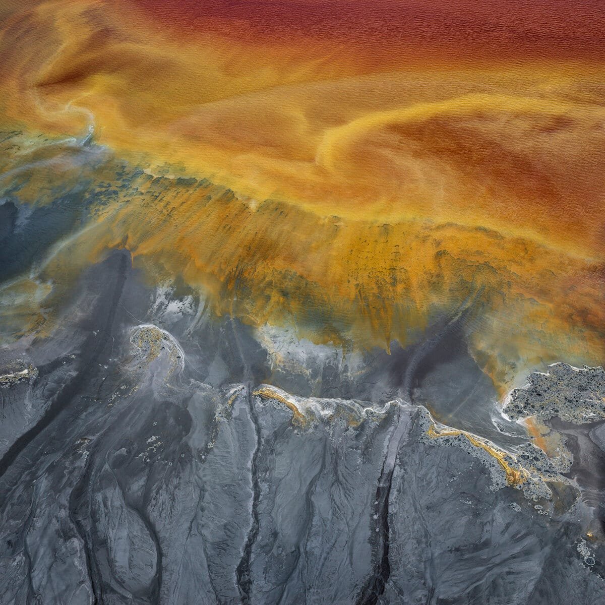 A conversation with Sweden’s Hans Strand - Nature First