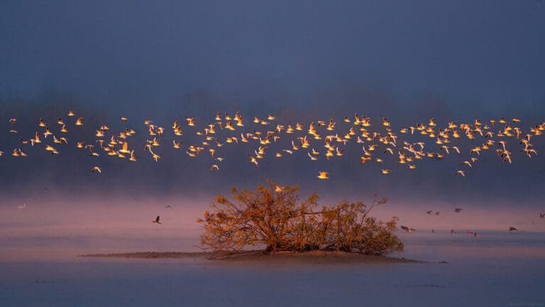 Meet Daniel Mîrlea – Nature First Ambassador - Nature First